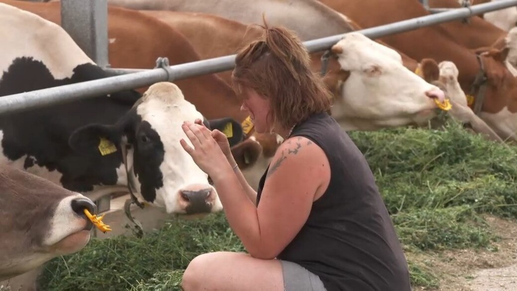 Regio TV Schwaben | Regio TV