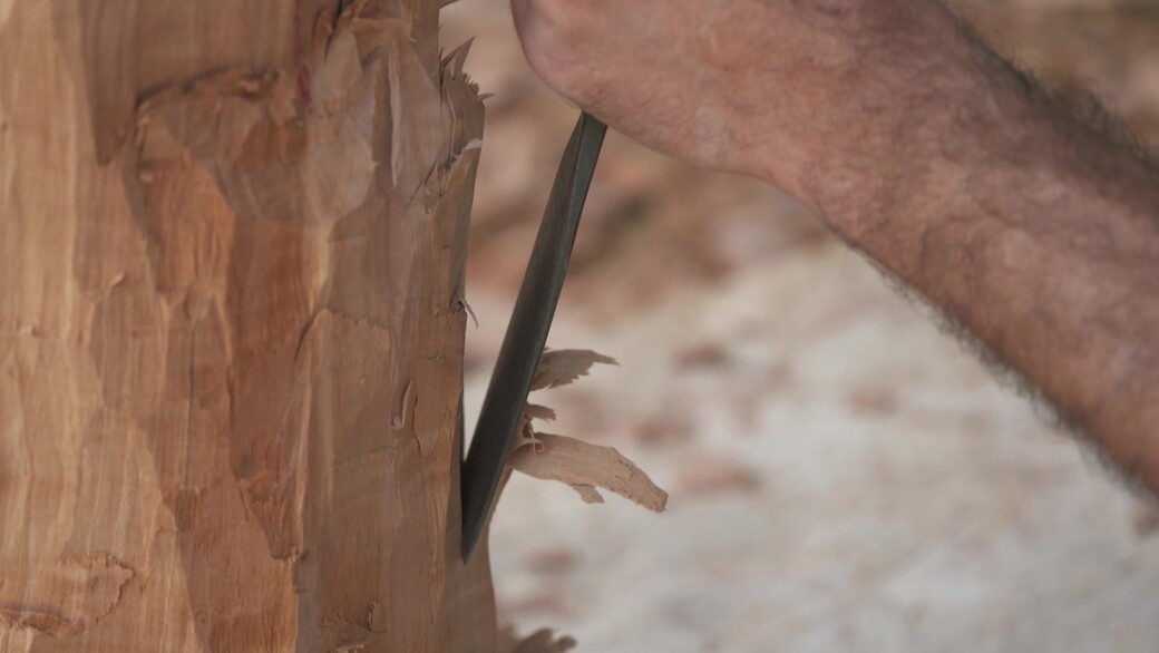 Regio TV Schwaben | Regio TV